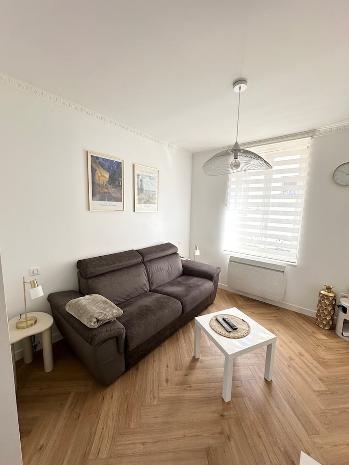 Magnifique Cocon Au Cœur De Nancy ! - Nancy