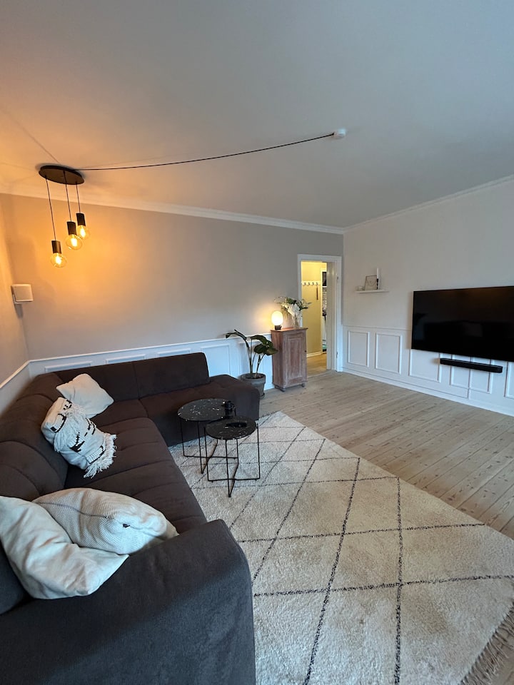 Lys Nyrenoveret Lejlighed I Odense Centrum Ved åEn - Odense