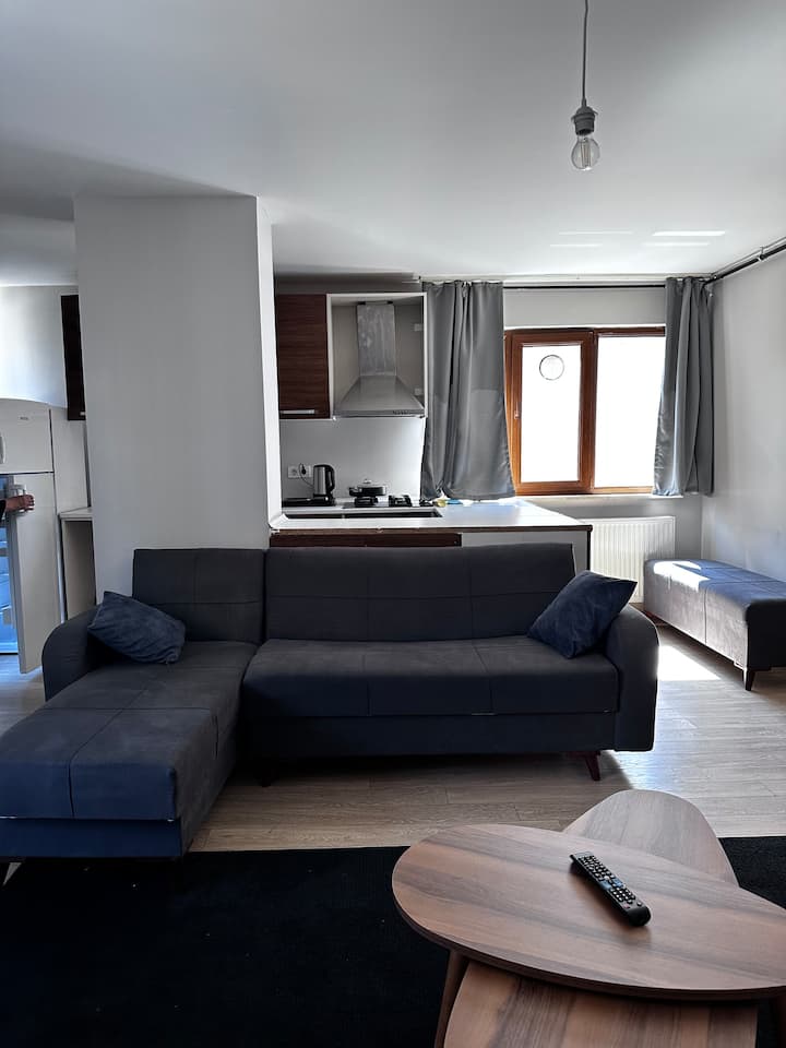 1+1 Modern Minimal Flat In Bostanci - Büyükada
