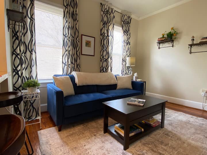 Quiet Downtown Apartment Close To Hospitals - Fredericksburg, VA