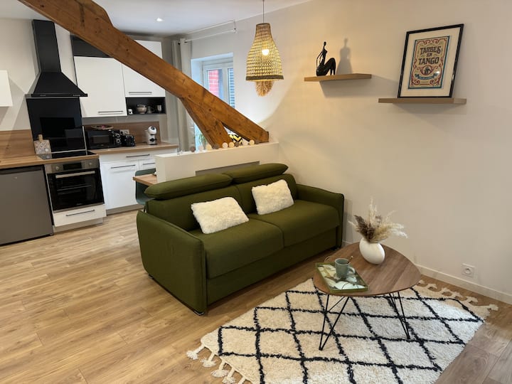 Studio Cœur De Ville - Tarbes