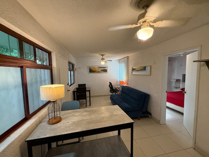 Ideal Para Conocer Paseo Montejo Y Centro Caminand - Yucatán