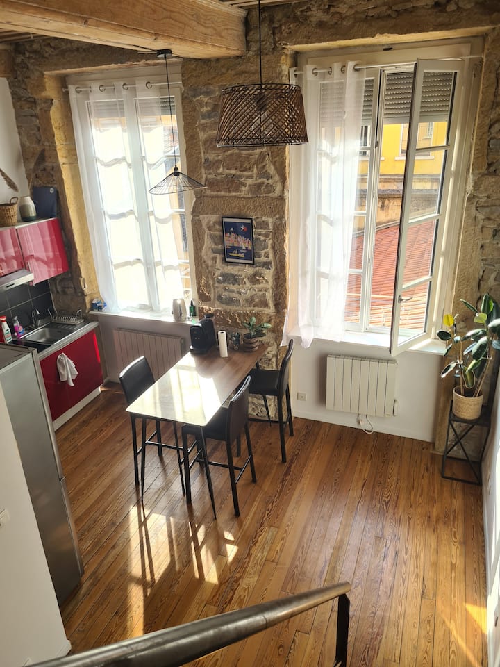 Lyon Croix Rousse 
Charmant Canut Au Calme - リヨン