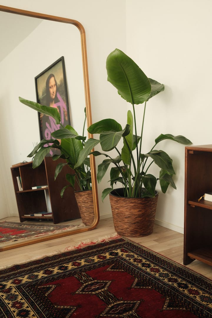 Im Herzen Von Augsburg! Bismarckviertel - Augsburg