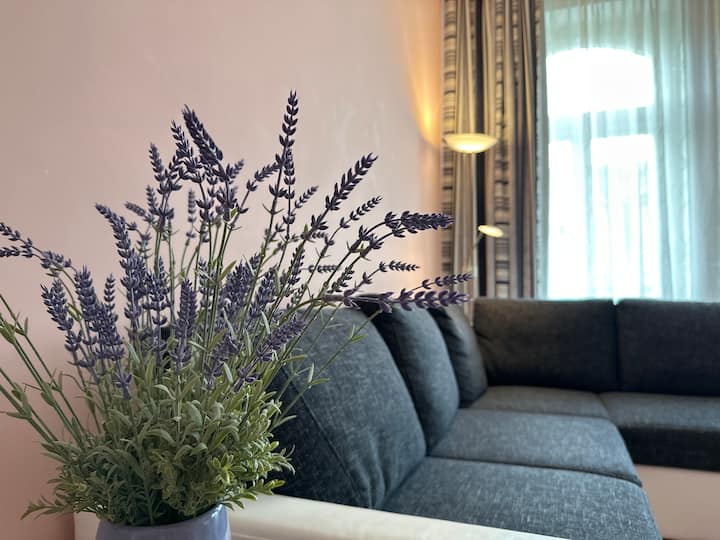 1apartment Zeyerova4 - Karlovy Vary