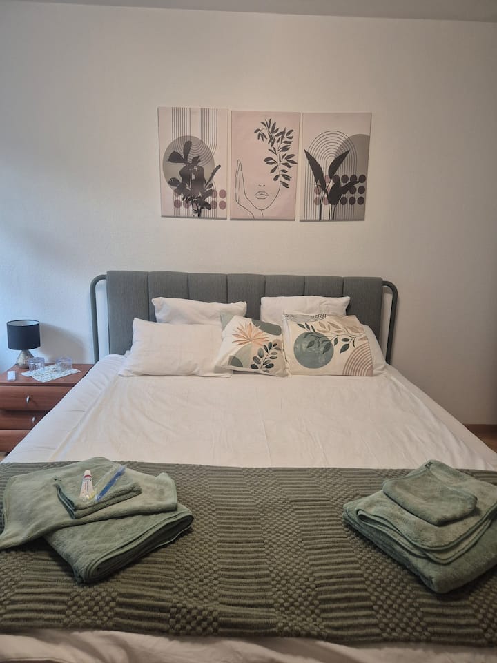 Zimmer In Zürich City-kingzise-bett, Bad & Küche - Zurich
