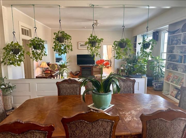 Charlemont Airbnb Center
With Four Mor Bedrooms - Mohawk Trail State Forest, Charlemont