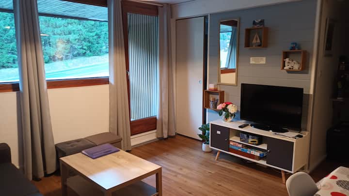 Bel Appartement 4 Pers Au Pied Du Massif Du Sancy - Puy de Sancy