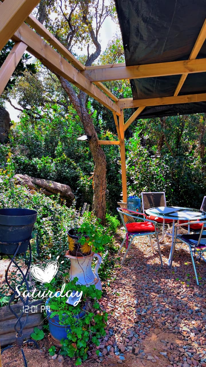 Caravane Individuel Dans Maquis Corse - Pianottoli-Caldarello