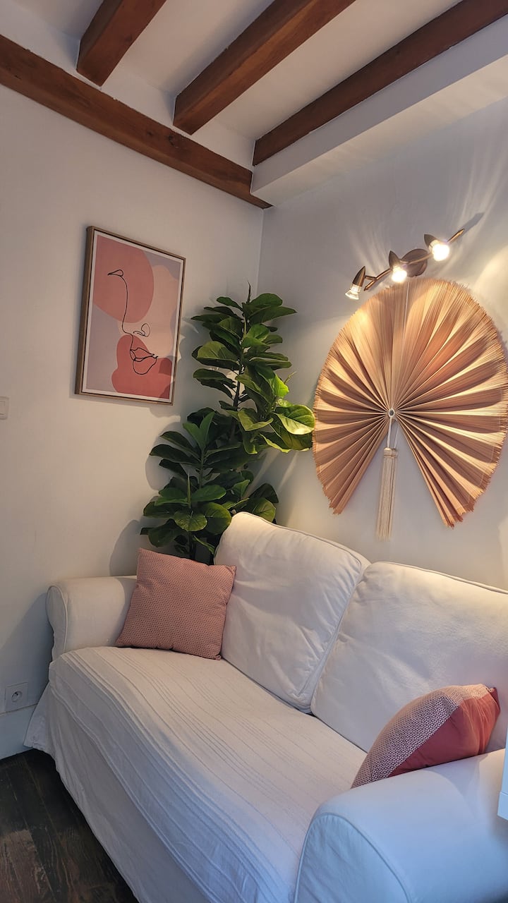 Kalistrata * Nichée Au Cœur Du Quartier Historique - Cergy