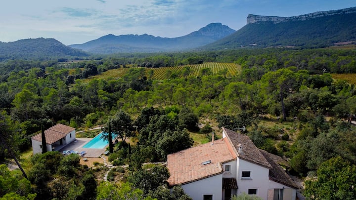 Le Cœur Du Pic à Valflaunès - Claret
