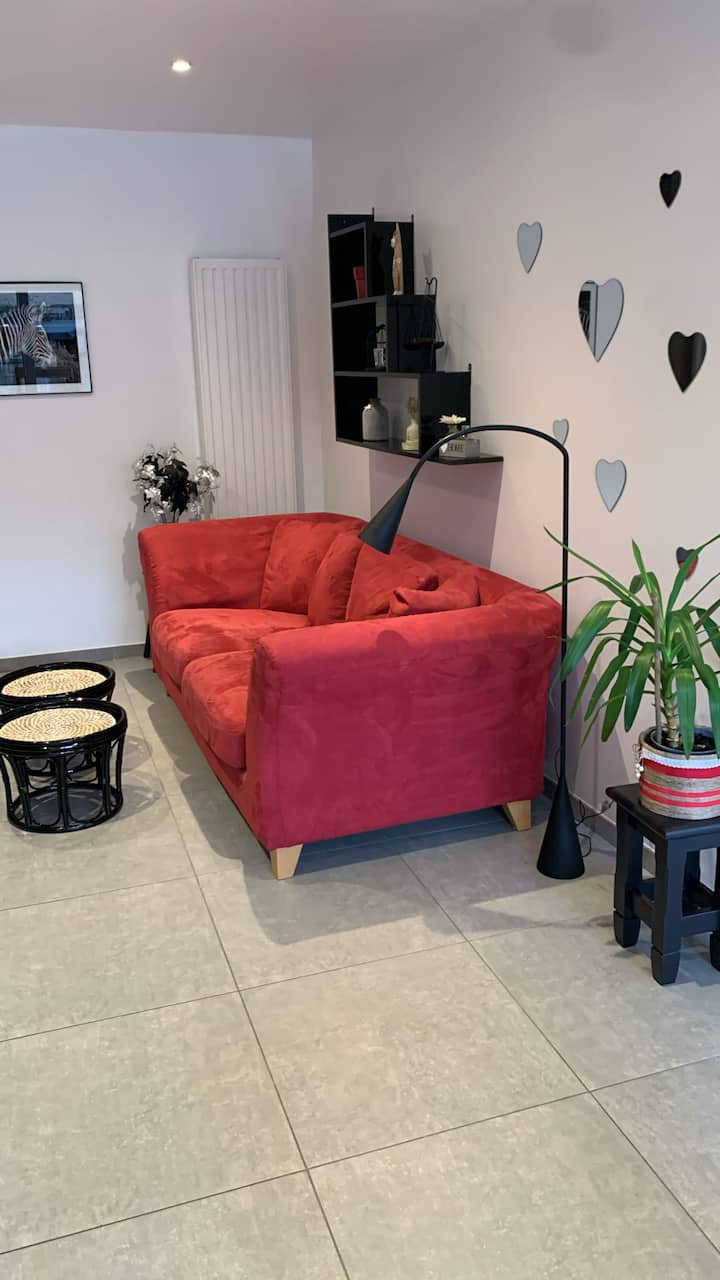 Bel Appartement Avec Grande Terrasse Et Jardin - Liège