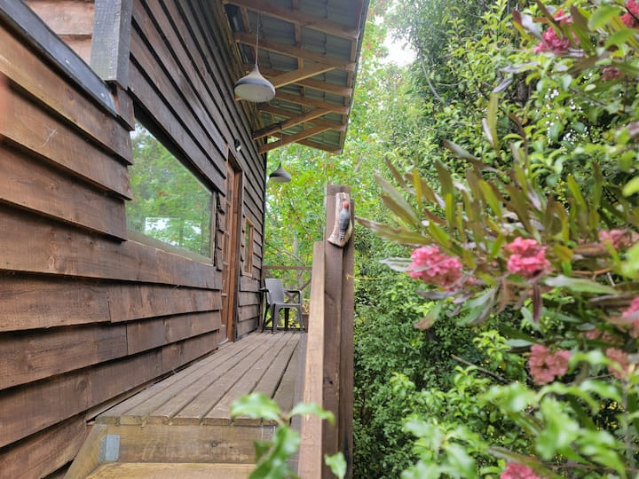 Desconexión Y Naturaleza - Chile