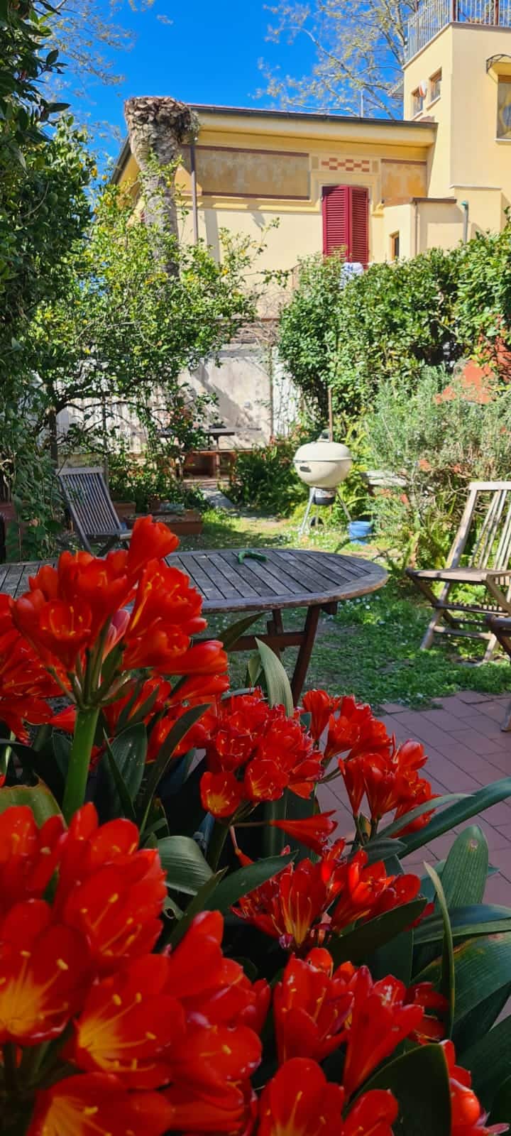 Lovely 5 Bedrooms Viareggina With Garden - Viareggio