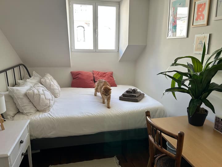 Cosy Double Room In The Heart Of Madrid - Madrid