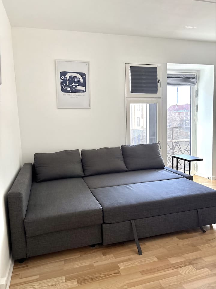 Great Apartment Near The Center. - Copenhagen Airport (CPH)
