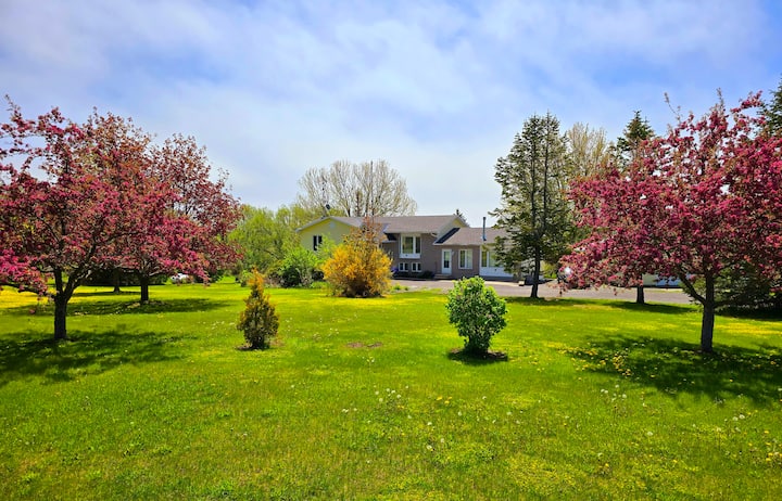 Spacious Ranch With Outdoor Deck/enclosed Veranda - Prince Edward County