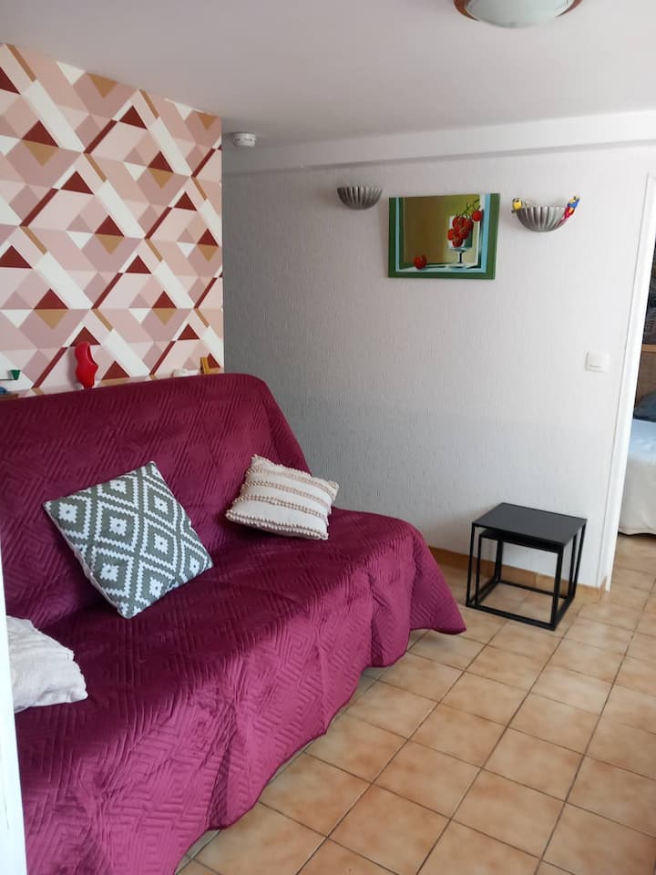 Rdc De Maison Avec Jardin. 900 M Plage - Royan