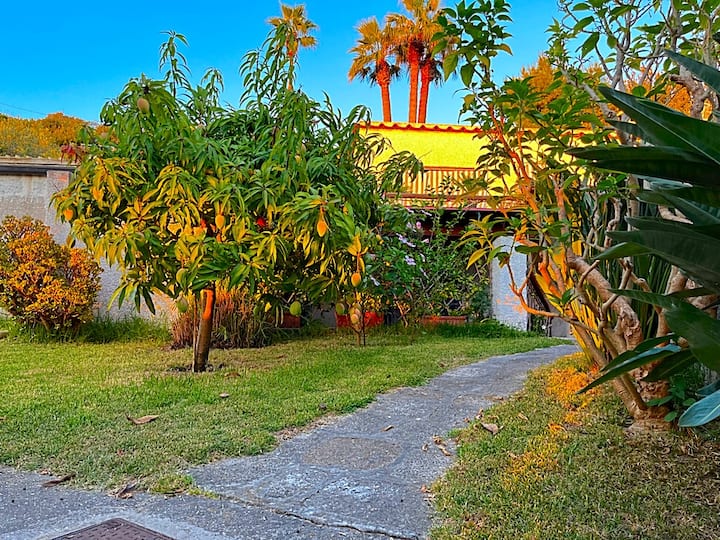 Villa Kalos - In The Countryside, Near The Sea. - Ischia