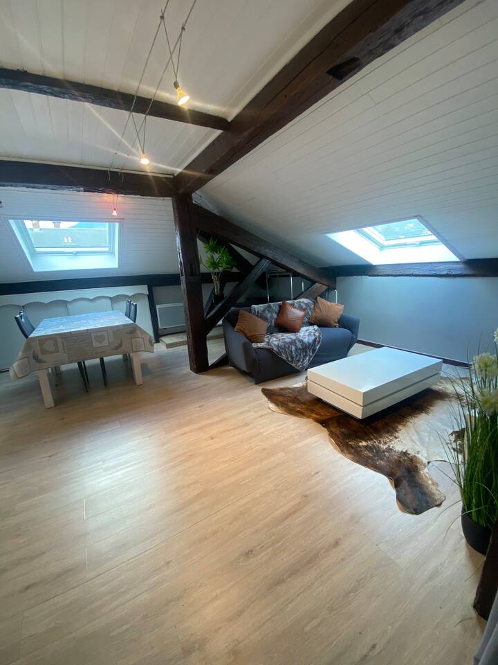 Appartement Atypique En Plein Centre-ville - Aix-les-Bains