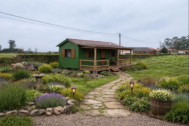 Quinta Do Costa De Vilarinho - Arrifana