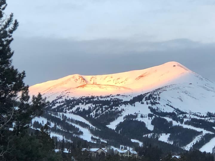 Breckenridge Wildlife Retreat/hot Tub/dog Friendly - United States