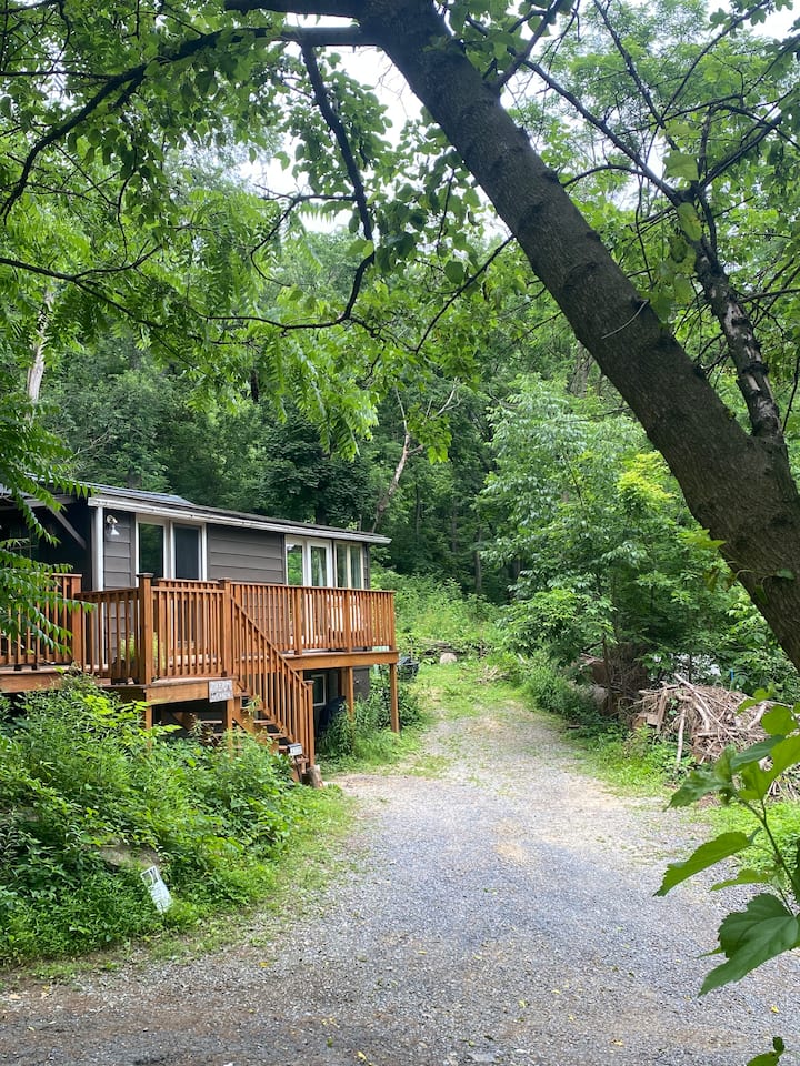Acotar Cabin Theme Magic Fantasy Fairy Book Kayaks - Pennsylvania
