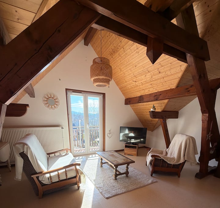 Appartement Lumineux Au Calme Rando & Télétravail - Baccarat