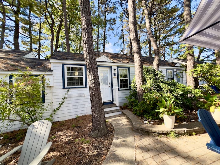 Beautiful One Bedroom Cabin Only 50 Ft From Beach4 - Carousel, Old Orchard Beach