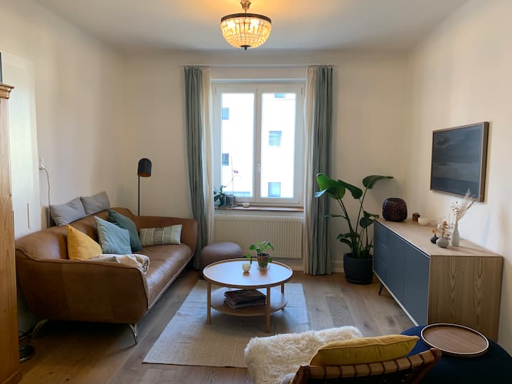 Charmantes Haus Mit Garten Stadtnah - Bâle