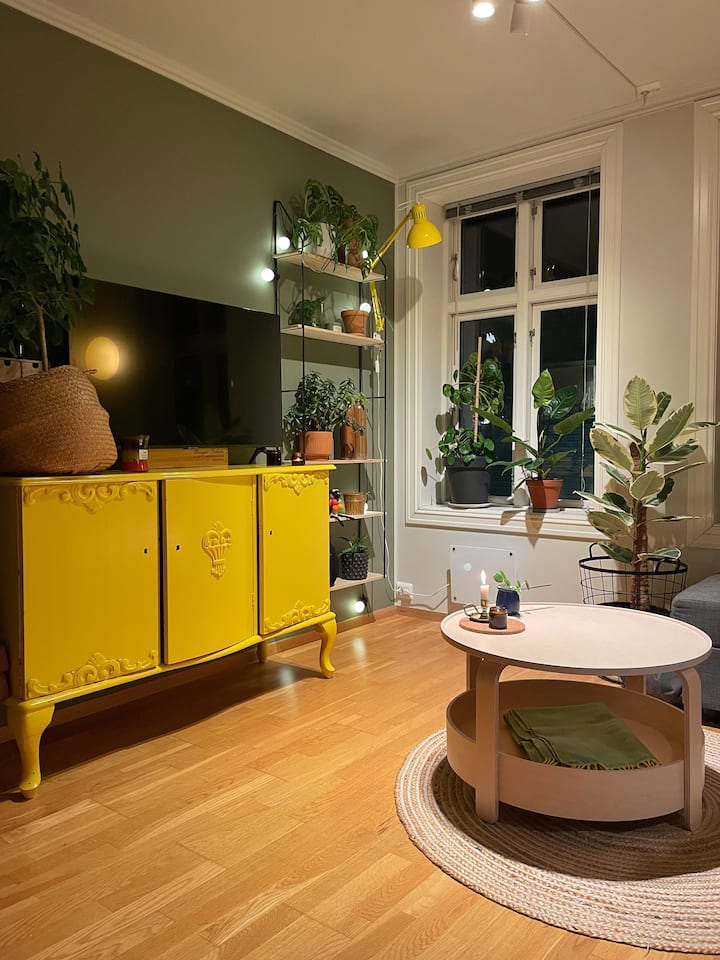 Private Room In A Super Central Shared Apartament - Stavanger