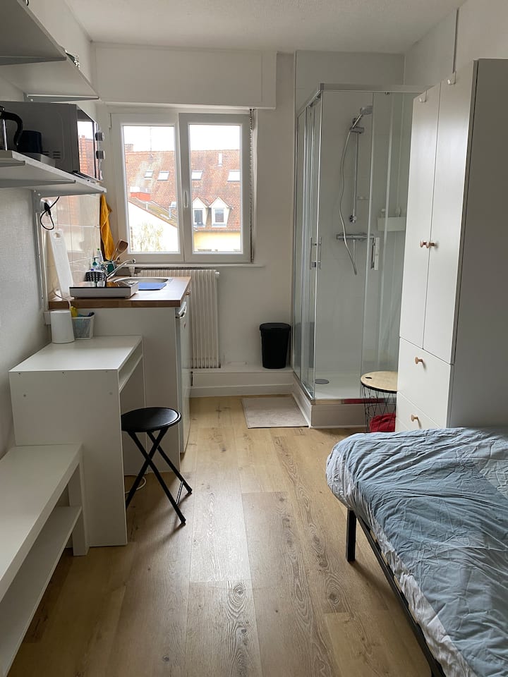 Studio Rénové Proche Des Institutions Européennes - Strasbourg