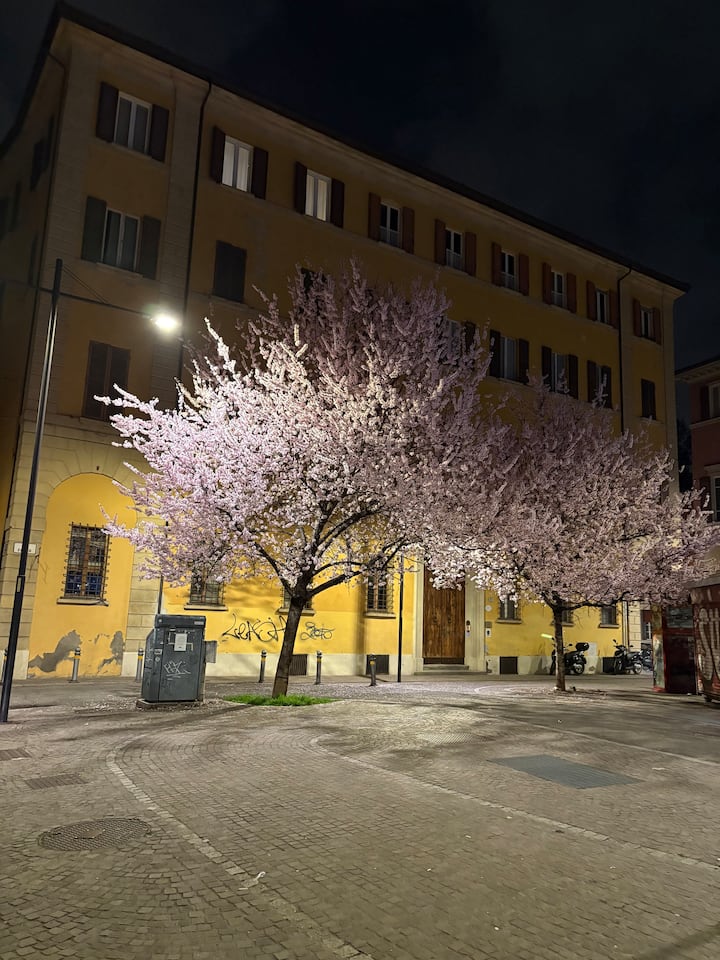 Dimora D'arco Ex Palazzo Mattesilani Vecchietti - Bologna