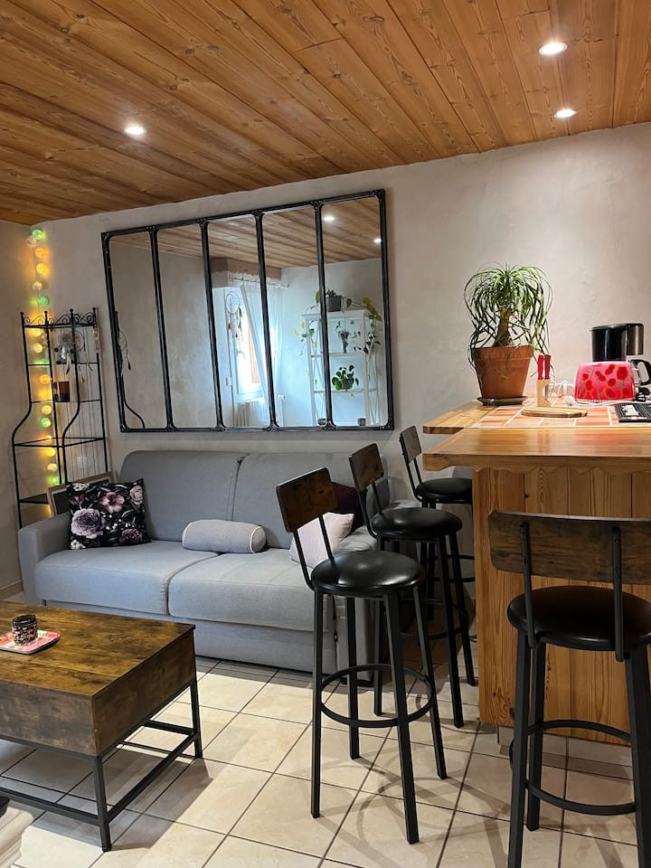 Appartement 32m2 , Quartier Du Vieil Alpe - Le Bourg-d'Oisans