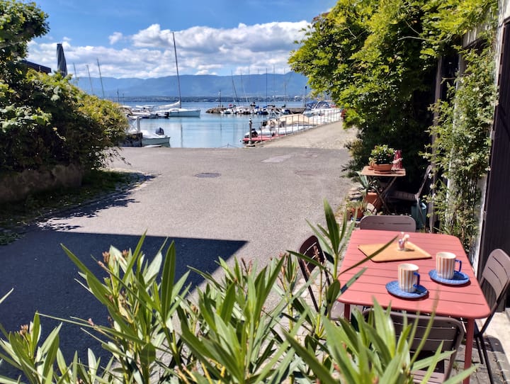 Situation Exceptionnelle, Vue Port De Nernier - Nyon