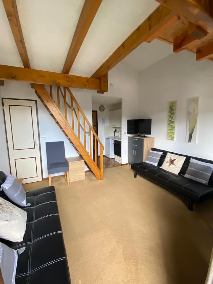 Morillon 1100 ~ Grand Massif ~ 4 Bedroom Apartment - Flaine
