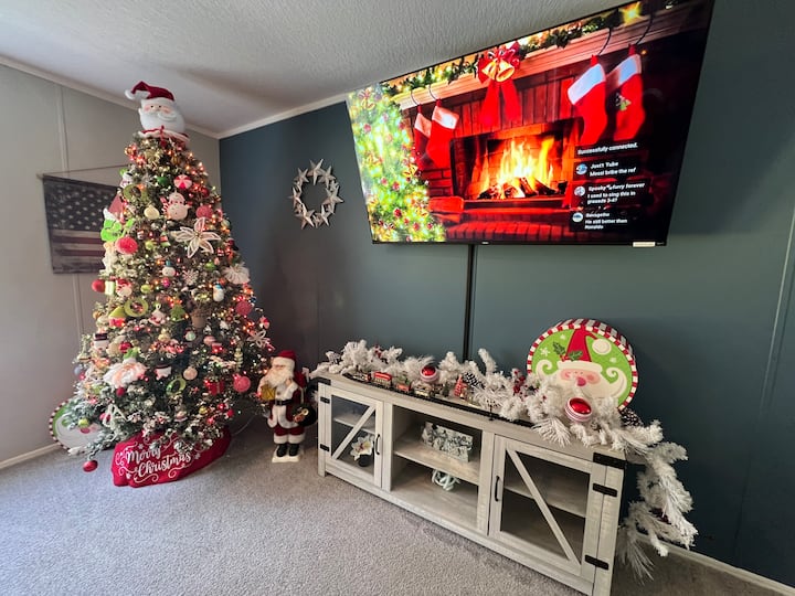 Tranquility 🏡 Close To ✈️ Beach, Mall, Park, Zoo. - Land O' Lakes, FL