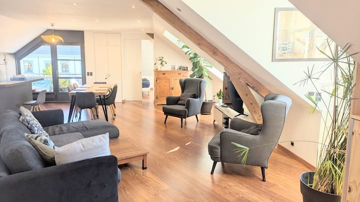 Le Porte Reine, Grand Et Beau T4 Centre Historique - Chambéry