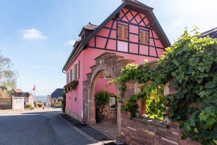 Gîte Aux Grains Nobles  Route Des Vins D'alsace - Rouffach