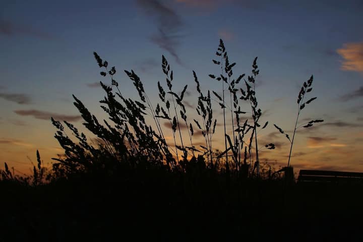 La Jolie "Ti Majo" Au Coeur De La Presqu'île - Sarzeau