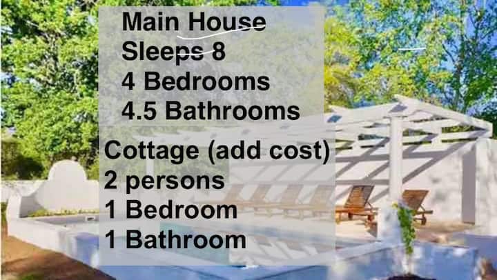 Laleli….the House Of Tulips. - Greyton