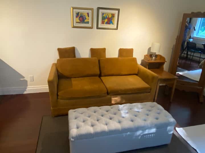 Gîte Des Condors Wifi De 120 Mbps - Saint-Sauveur