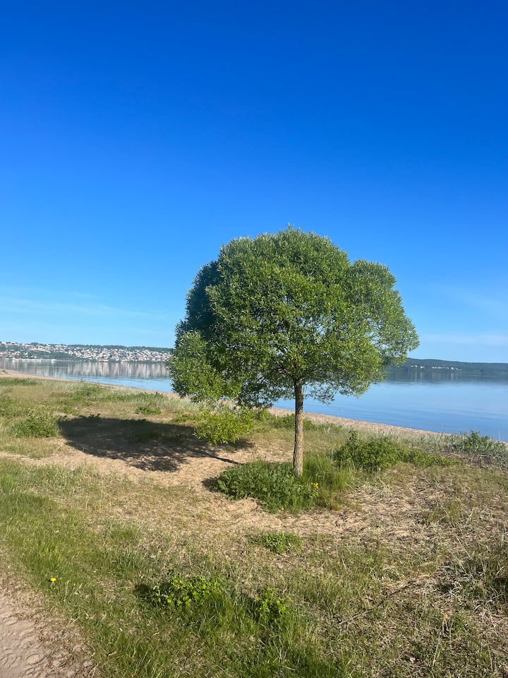 Villa Selma, Ett Stenkast Från Vätterstranden - Jönköping