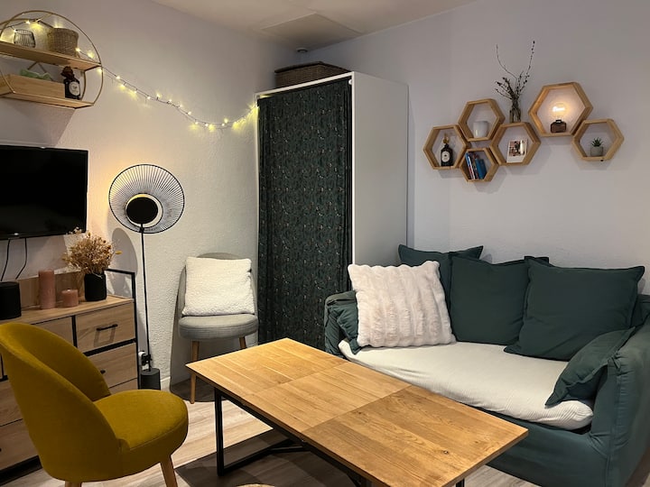 Maisonnette Sur Cour Fleurie - Paris