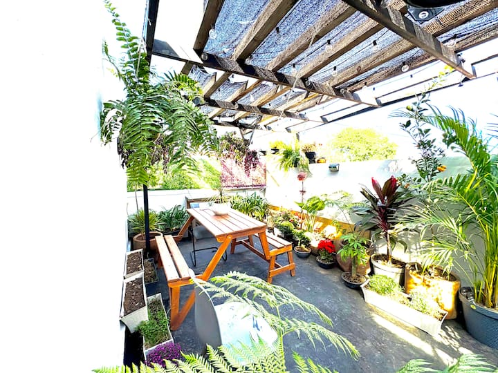 Mini Loft, Roof Garden En Toluca Centro - Toluca