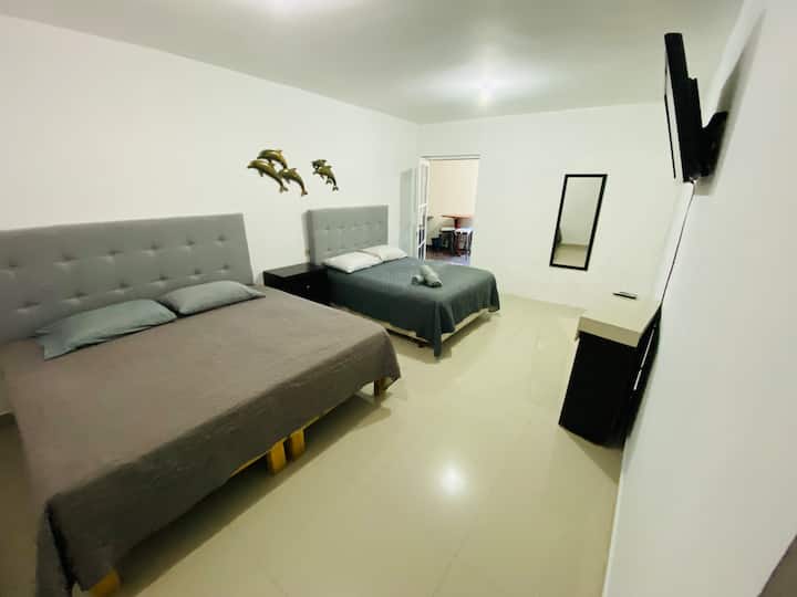 Casabahia_delfin - Guaymas