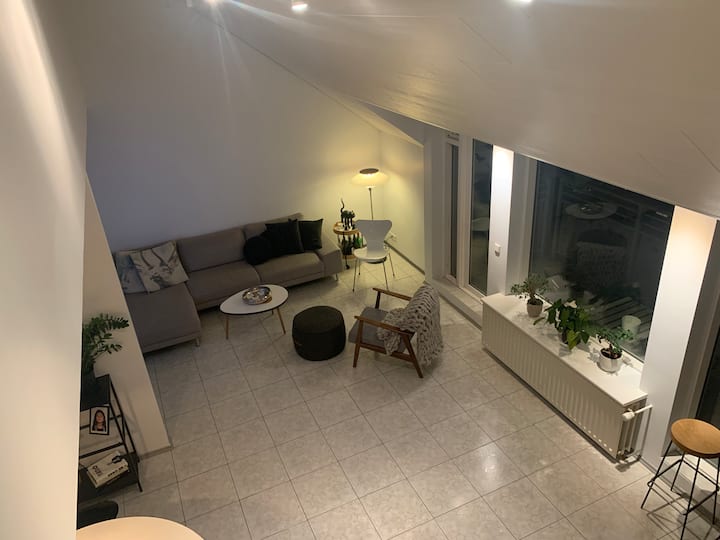 Nice Apartment - Iceland