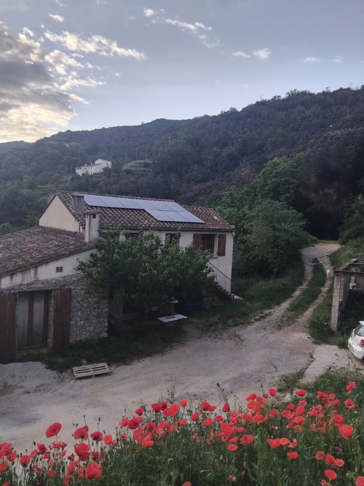 Gite Au Calme Dans Mas - Céret