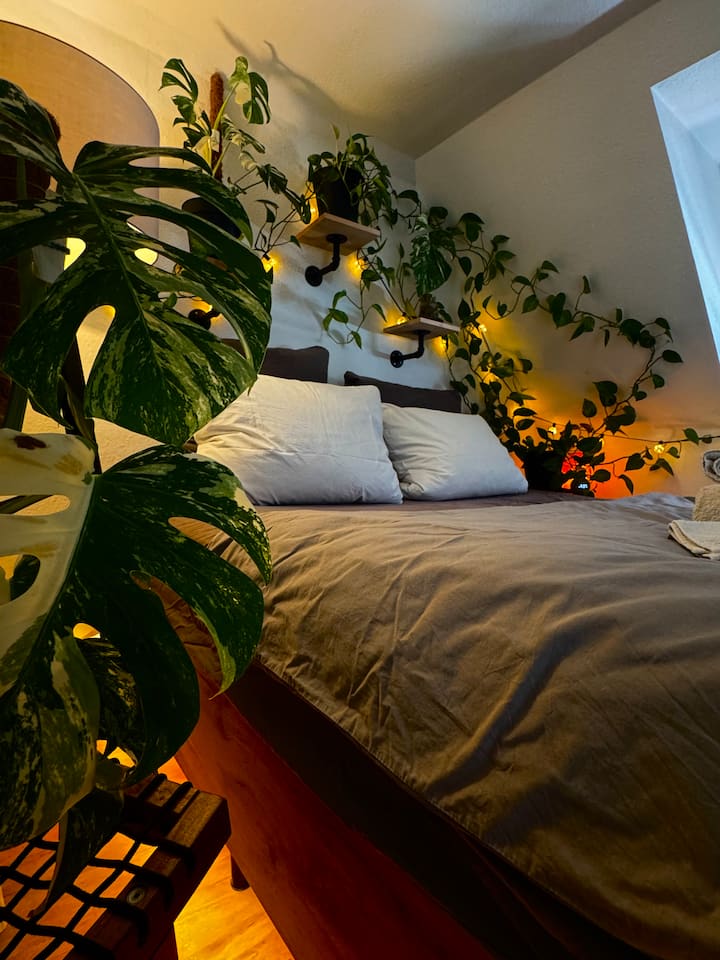 Queensize Bett / Zentral / Smart Home - Colonia