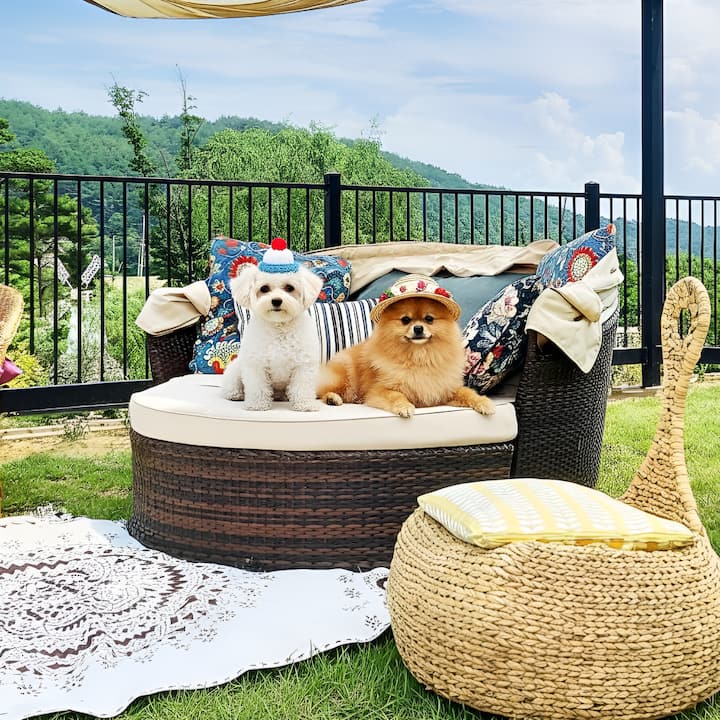 [애견동반독채]- 설악산&비치10분# 복층 디럭스빌라-02 - Sokcho-si